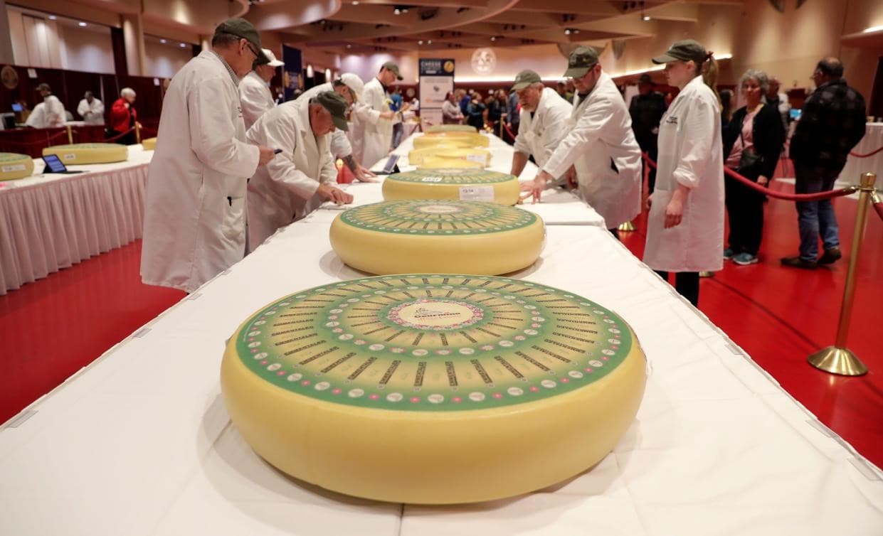 World Championship Cheese Contest 2024 in Wisconsin, USA - Emmentaler ...